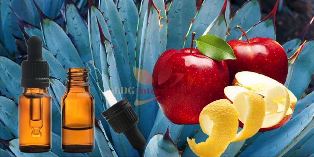 Premium Blue Agave Fragrance Oil Producer for Perfumery & Cosmetics ...