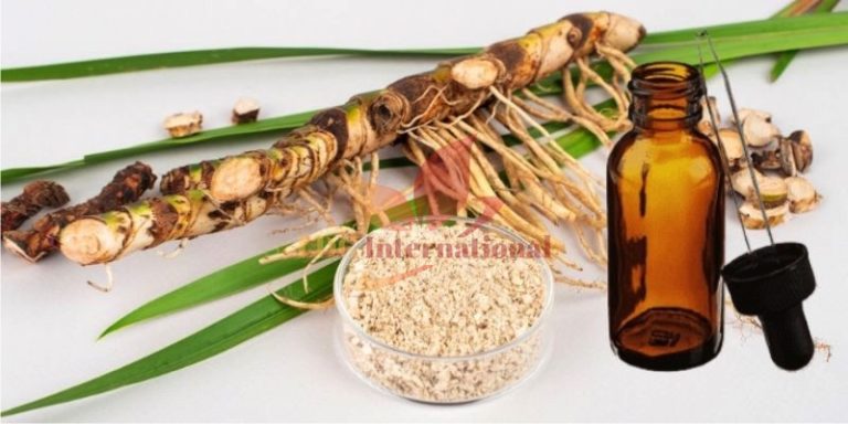 High-Quality Calamus Oil Wholesaler in Bangladesh - LDG International