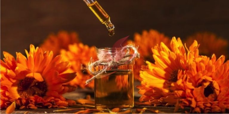Trusted Marigold Absolute Oil manufacturer - LDG International