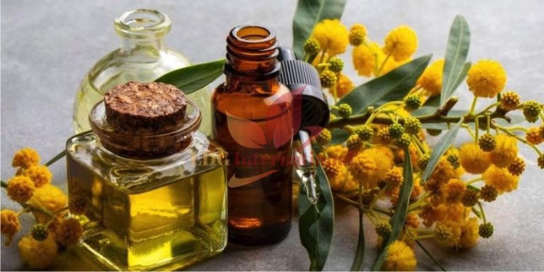 Premium Mimosa Absolute Oil Exporter in Nigeria - LDG International