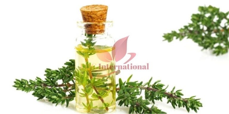 Leading of Pure Thyme Oil- LDG International